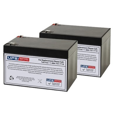 EZ-Access Passport Wheelchair Lift Batteries
